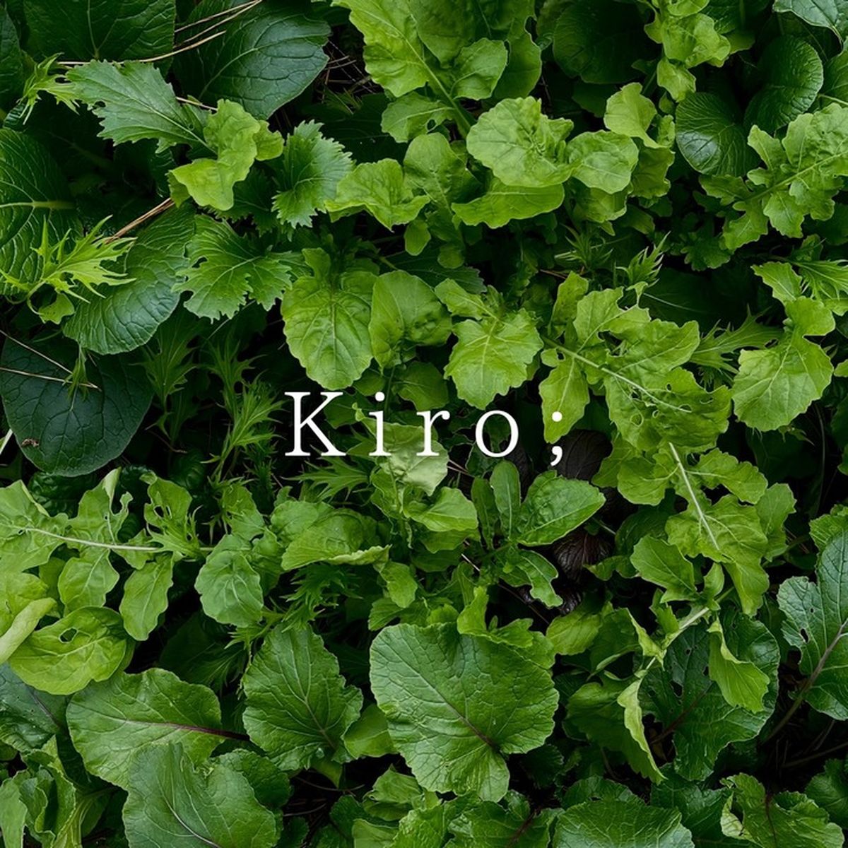 Kiro; - Restaurant Guide - TableCheck